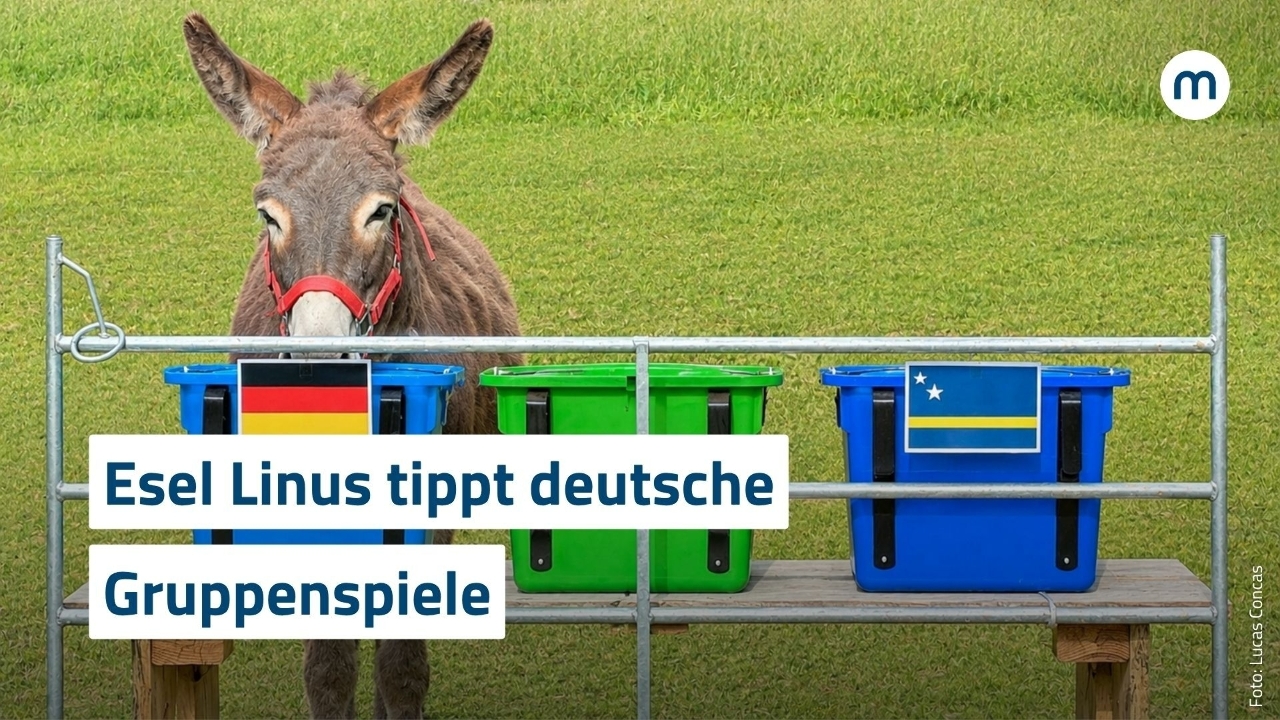 Orakel Linus: Ein Esel tippt Spiele der deutschen Mannschaft