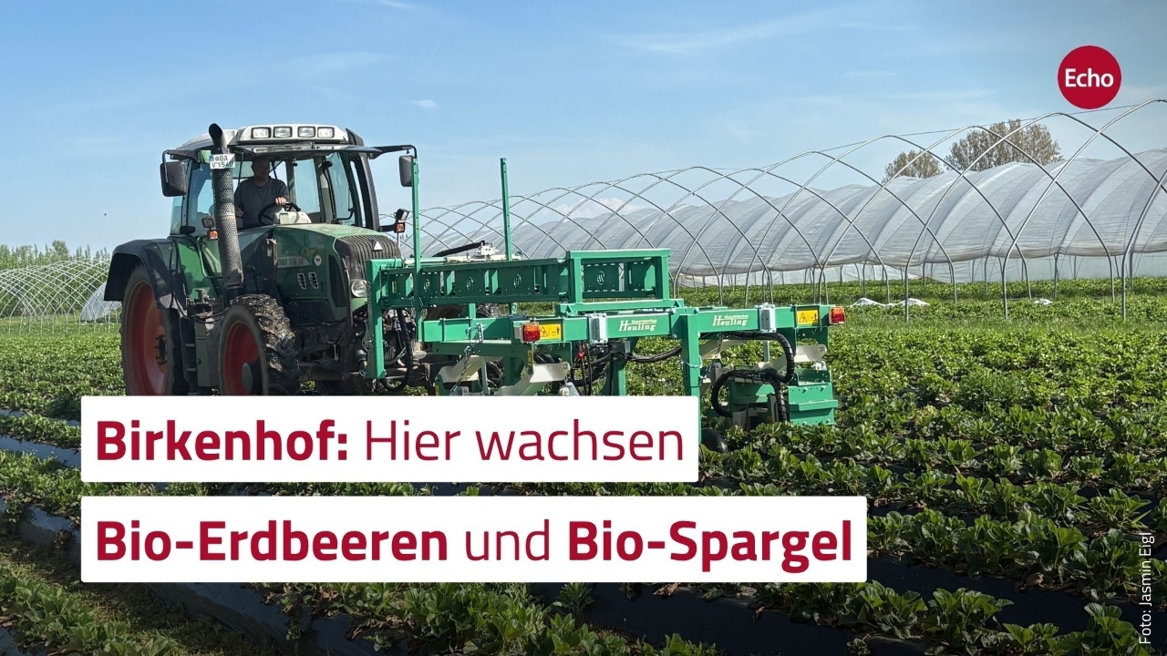 Birkenhof: Hier wachsen Bio-Spargel und Bio-Erdbeeren